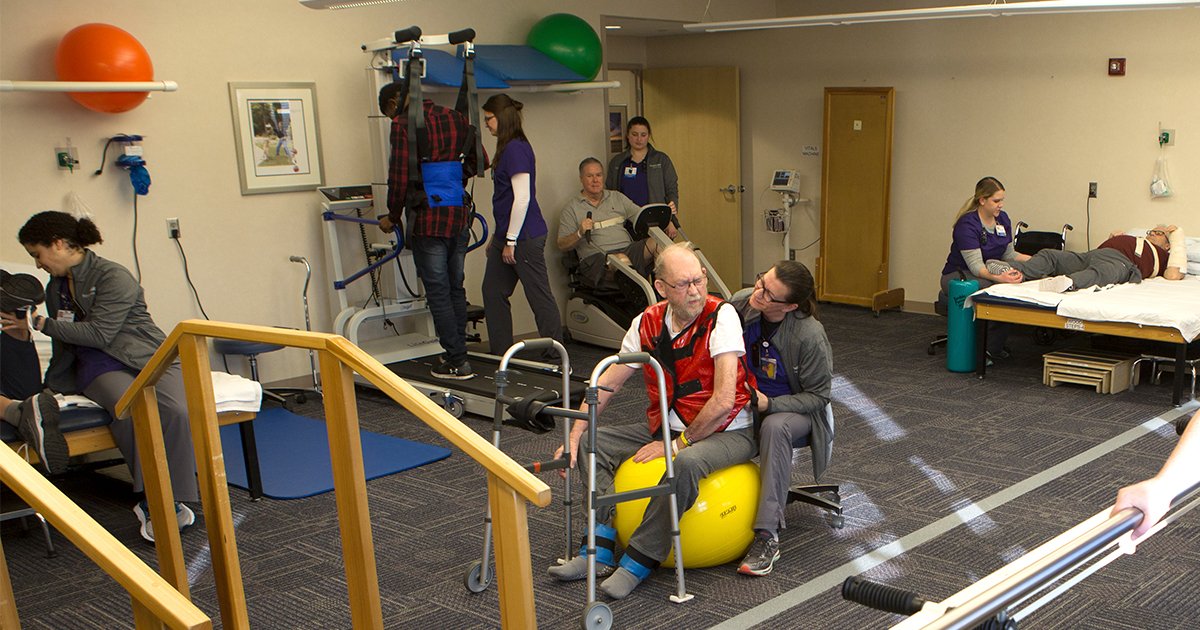 Physical Therapy and Rehabilitation